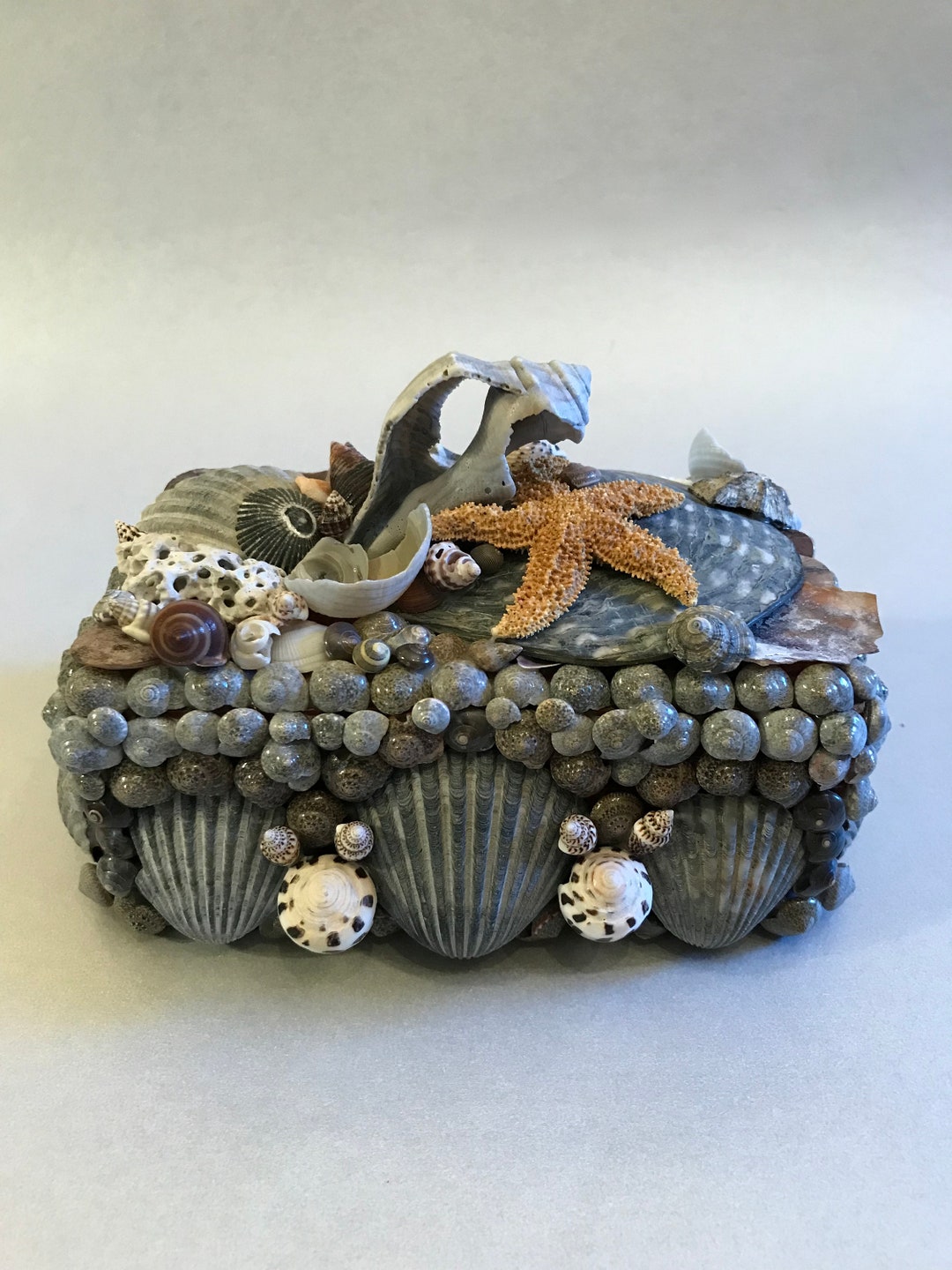 Handmade Shell Box, Encrusted Seashell Box, Ring Box - Etsy