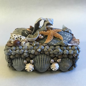 Handmade Shell Box, Encrusted Seashell Box, Ring Box - Etsy