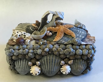 Handmade Shell Box, Ornate Encrusted Seashell Box - Etsy