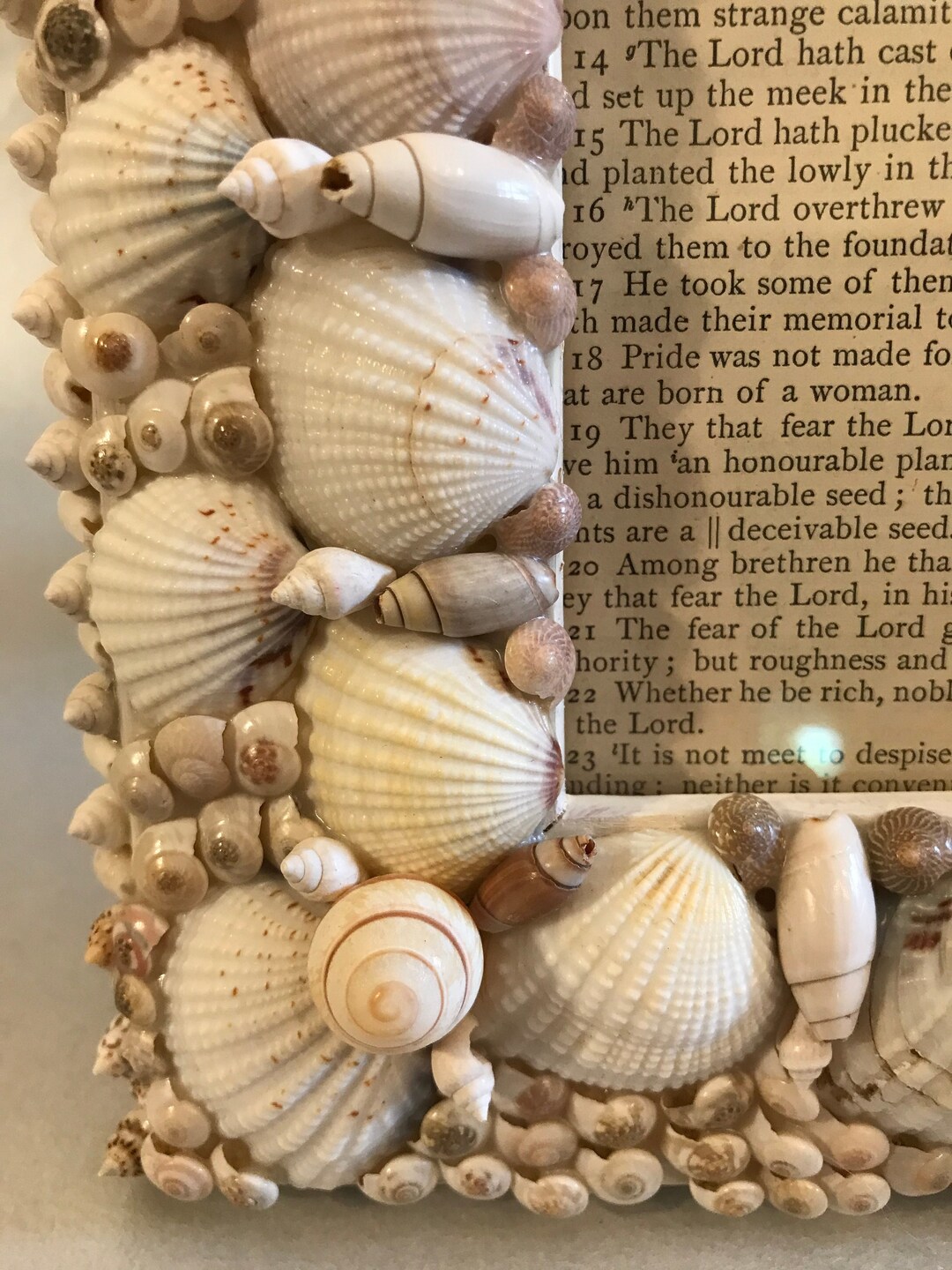 Handmade Shell Frame, One of a Kind Seashell Frame, Coastal Style ...