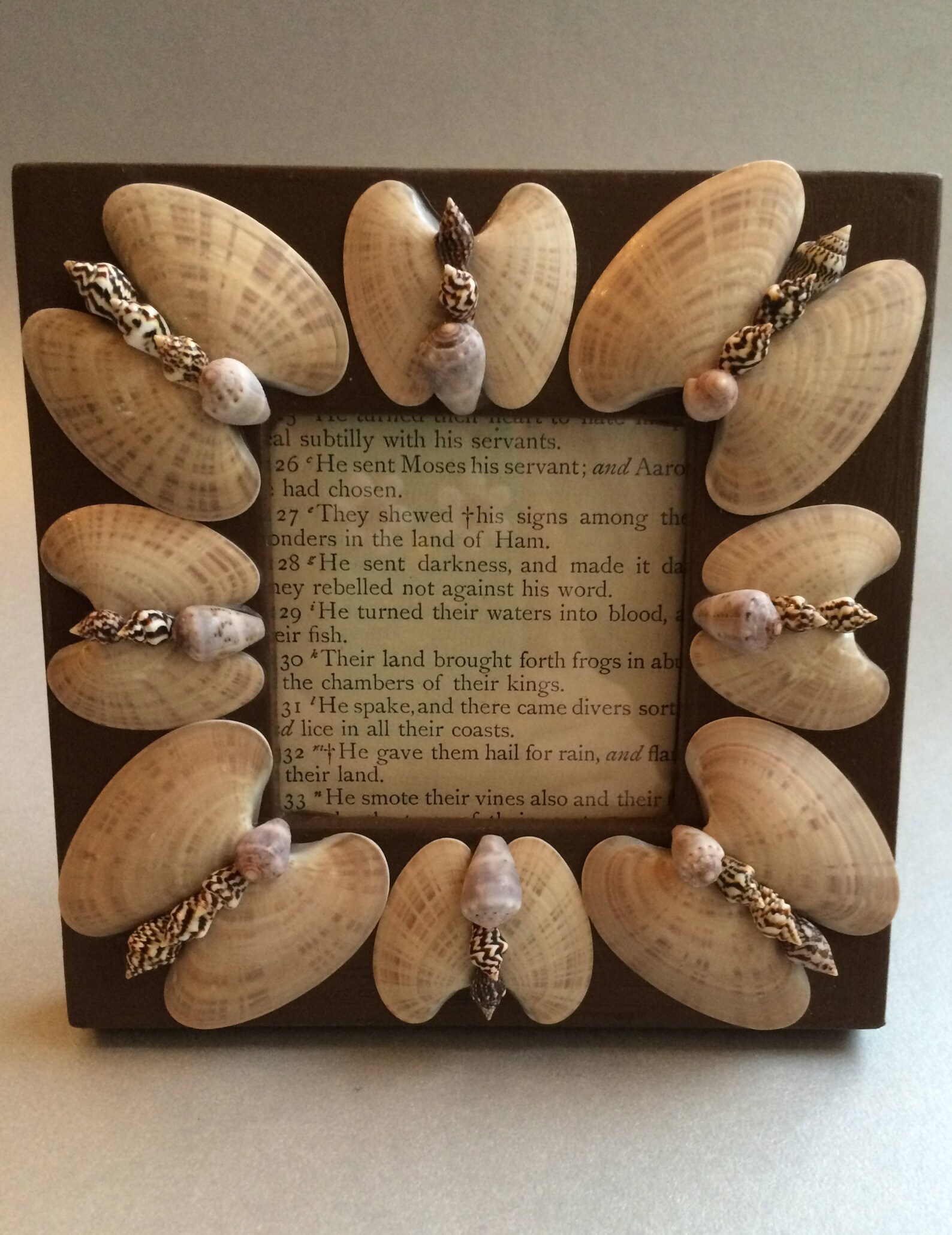 Handmade Seashell Picture Frame Shell Photo Frame Seashells - Etsy