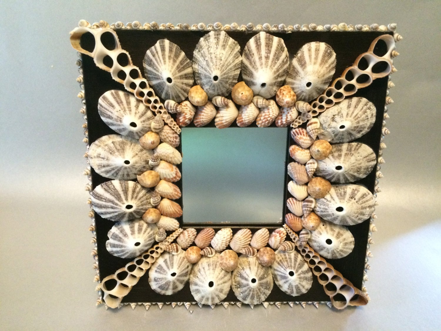 Handmade Seashell Mirror, Decorative Shell Mirror - Etsy