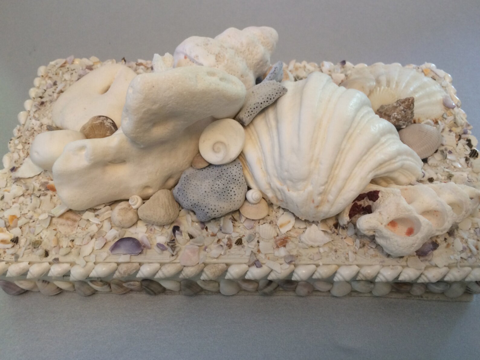 Handmade Shell Box Ornate Encrusted Seashell Box - Etsy