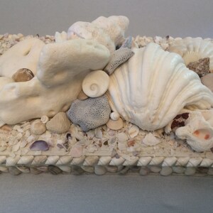 Handmade Shell Box, Ornate Encrusted Seashell Box - Etsy