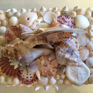 Handmade Seashell Box, Shell Treasure Box - Etsy