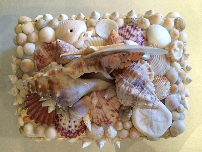 Handmade Seashell Box Shell Treasure Box | Etsy