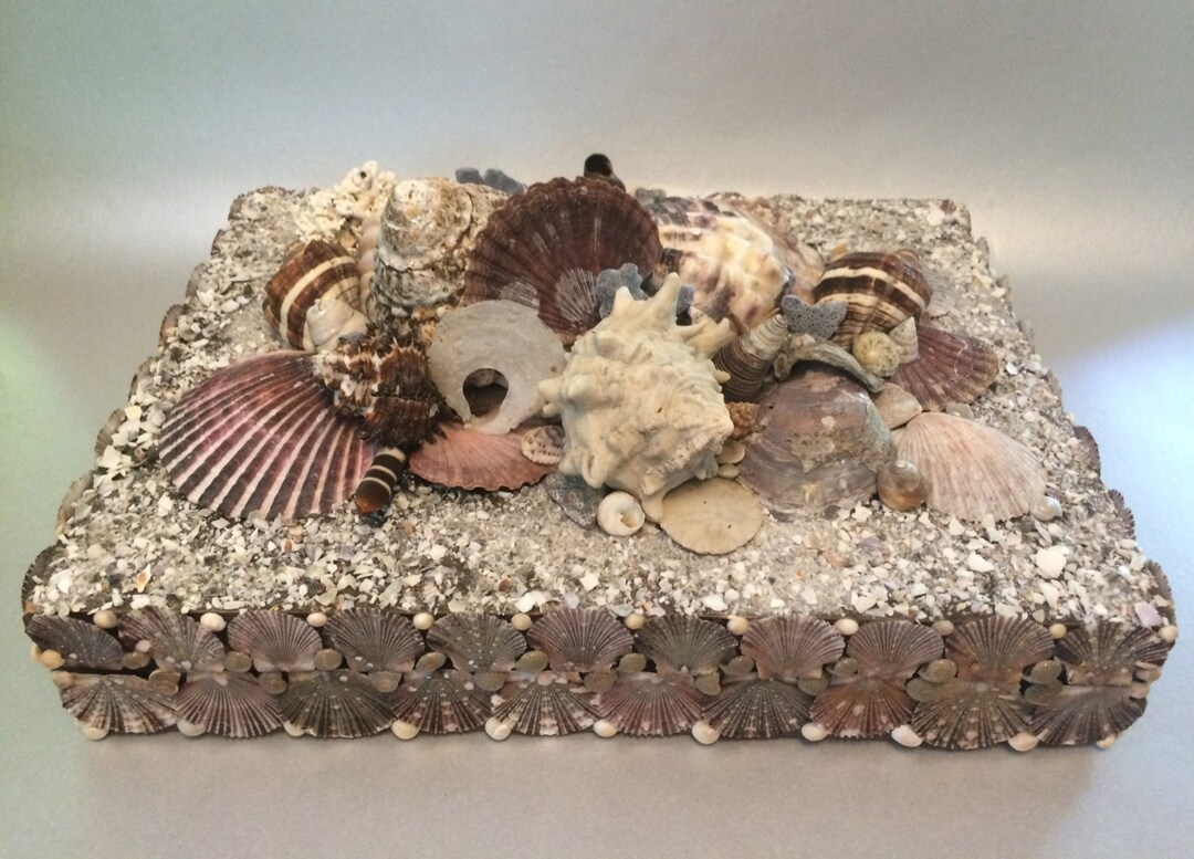Handmade Seashell Box, Large Shell Box, Ornate Seashell Box - Etsy