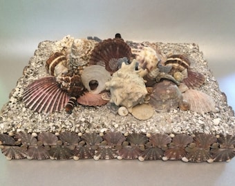 Handmade Shell Box, Ornate Encrusted Seashell Box - Etsy