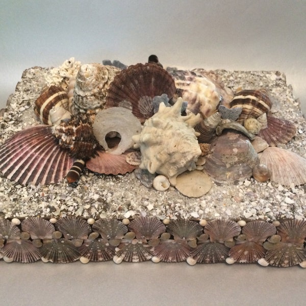 Shell Box - Etsy