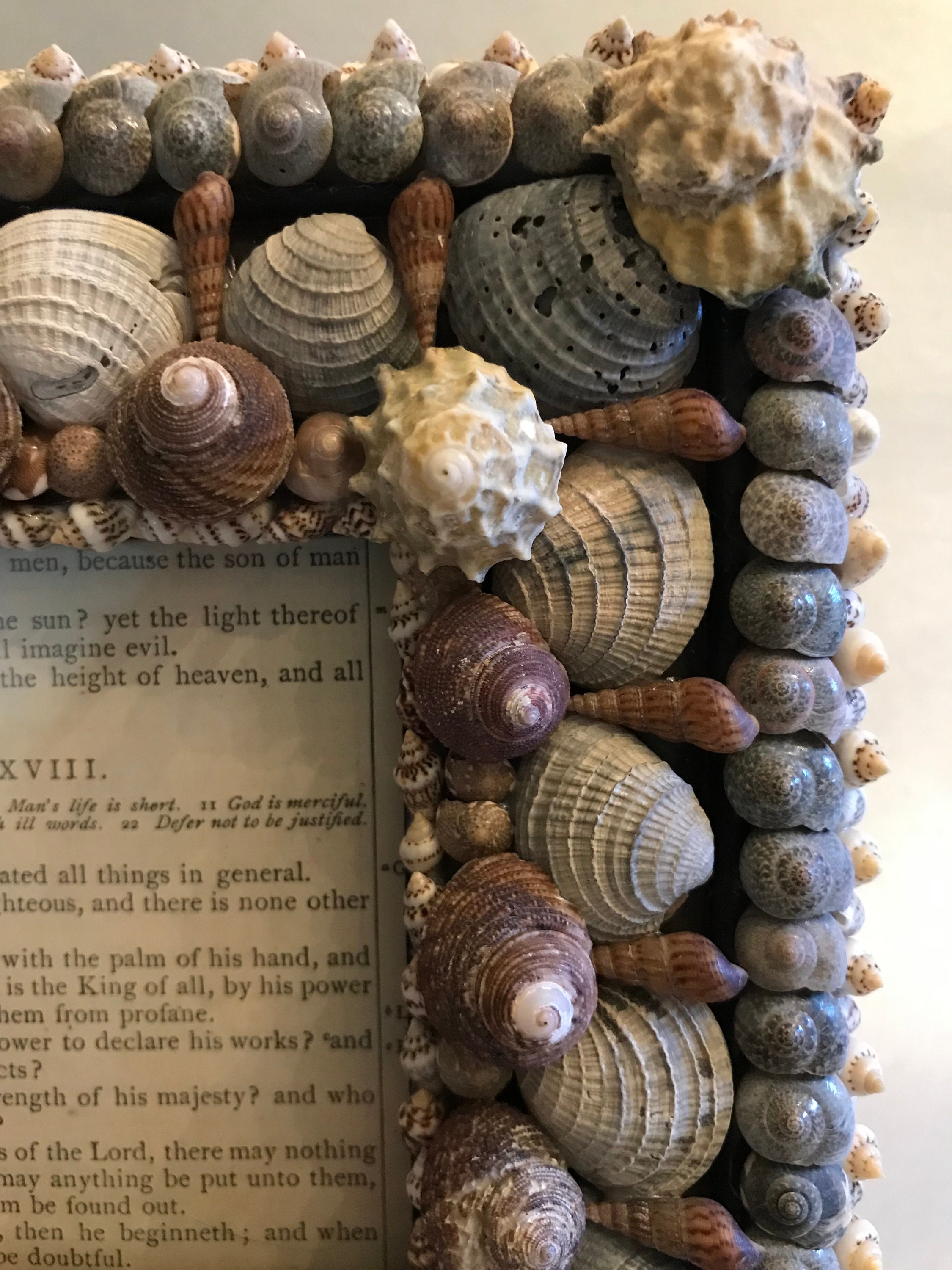 Handmade Shell Frame One of a Kind Seashell Frame - Etsy