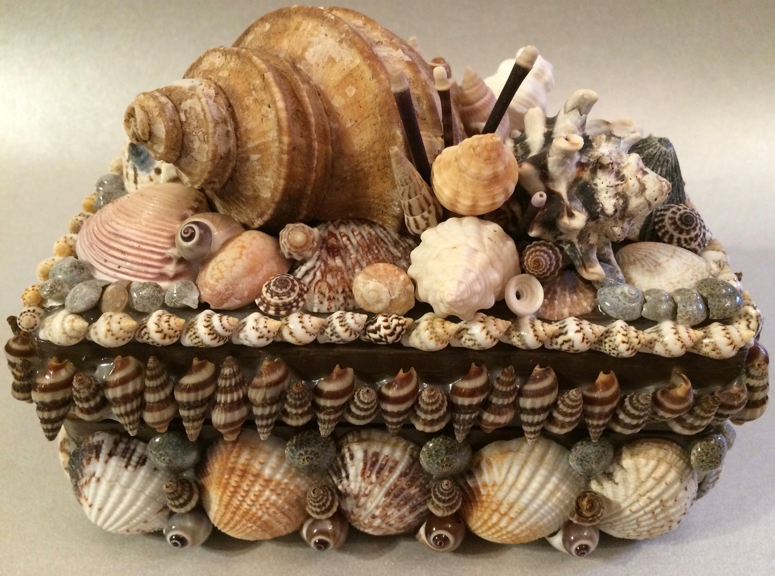Handmade Shell Box Encrusted Seashell Box Hand Picked Shells - Etsy
