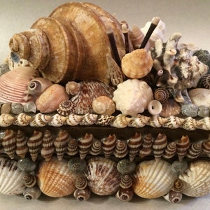 Handmade Shell Box Encrusted Seashell Box Hand Picked Shells Beach ...
