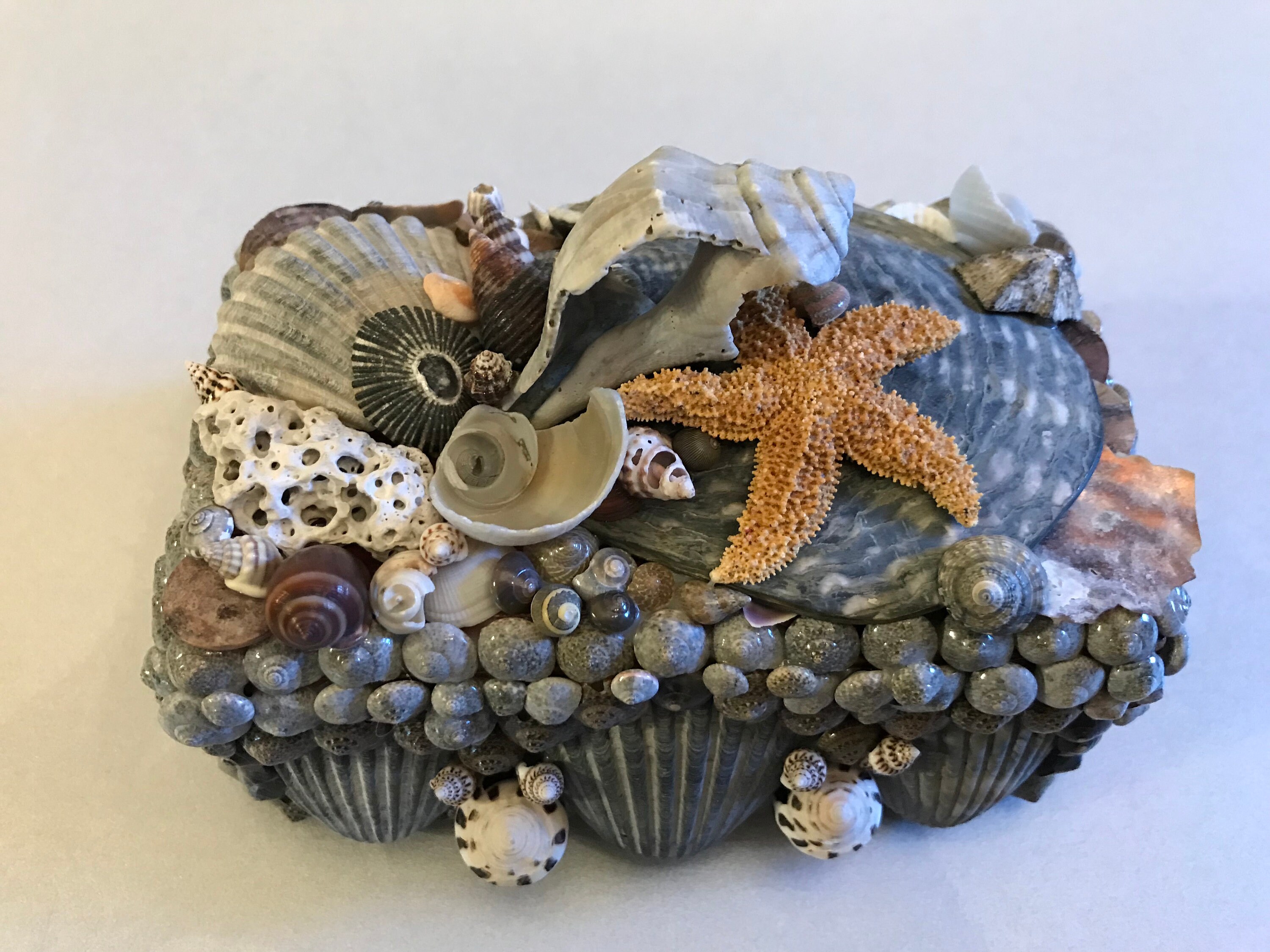 Handmade Shell Box Encrusted Seashell Box Ring Box - Etsy