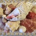 Handmade Seashell Box Encrusted Treasue Box Beach Decor Ocean Theme ...
