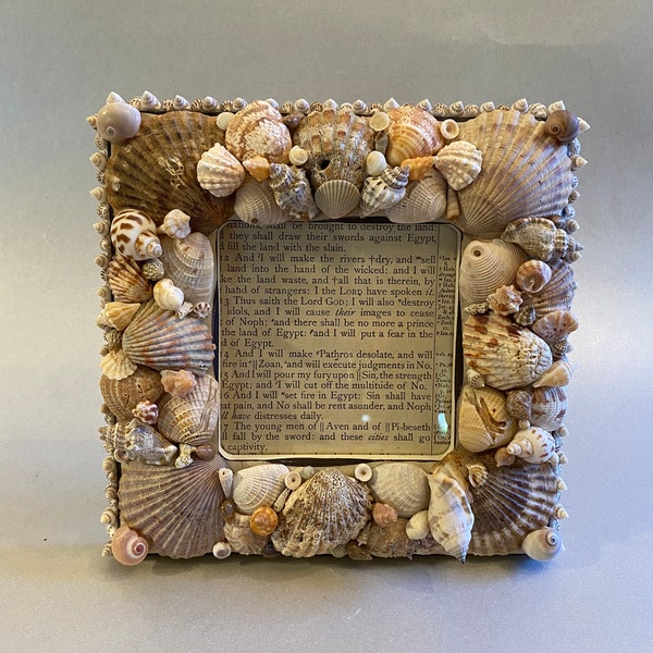 Shell Frame - Etsy