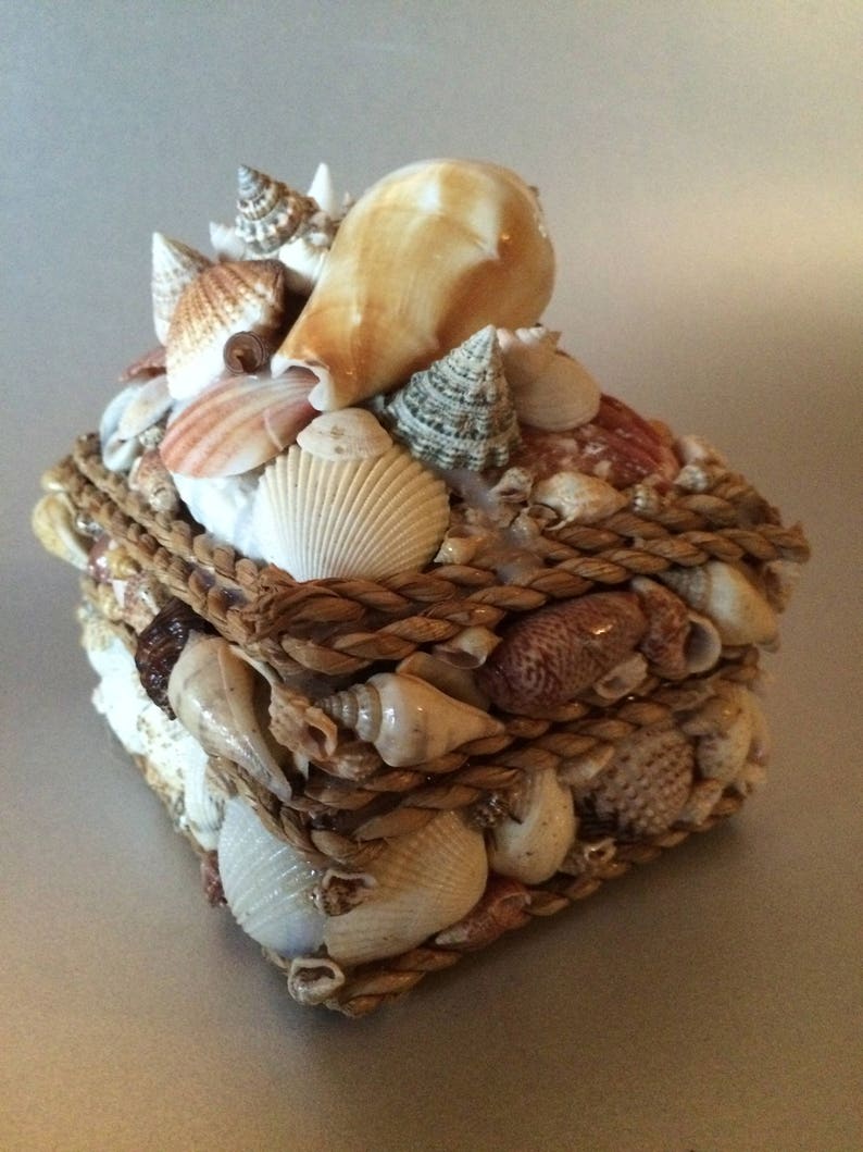 Handmade Vintage Seashell Box One-of-a-Kind Shell Box Unique | Etsy