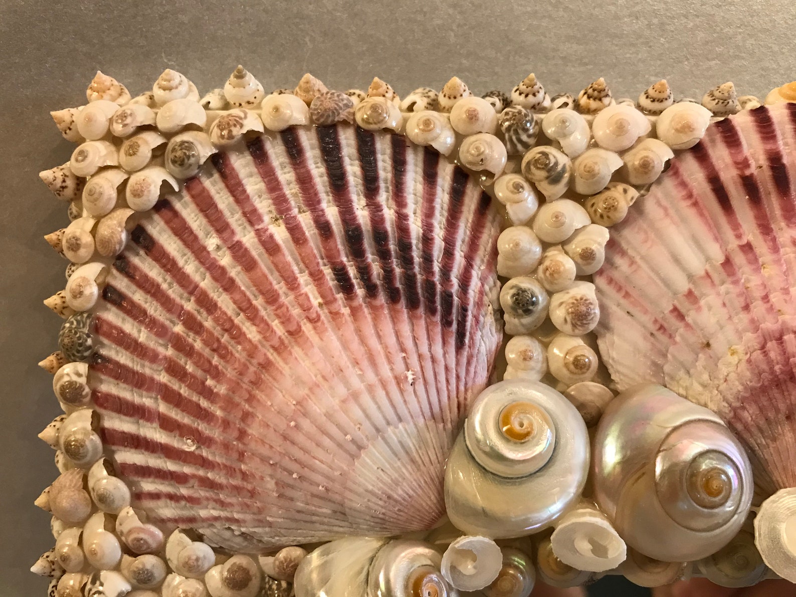 Handmade Shell Mirror Embellished Seashell Mirror Bydesignshellart - Etsy