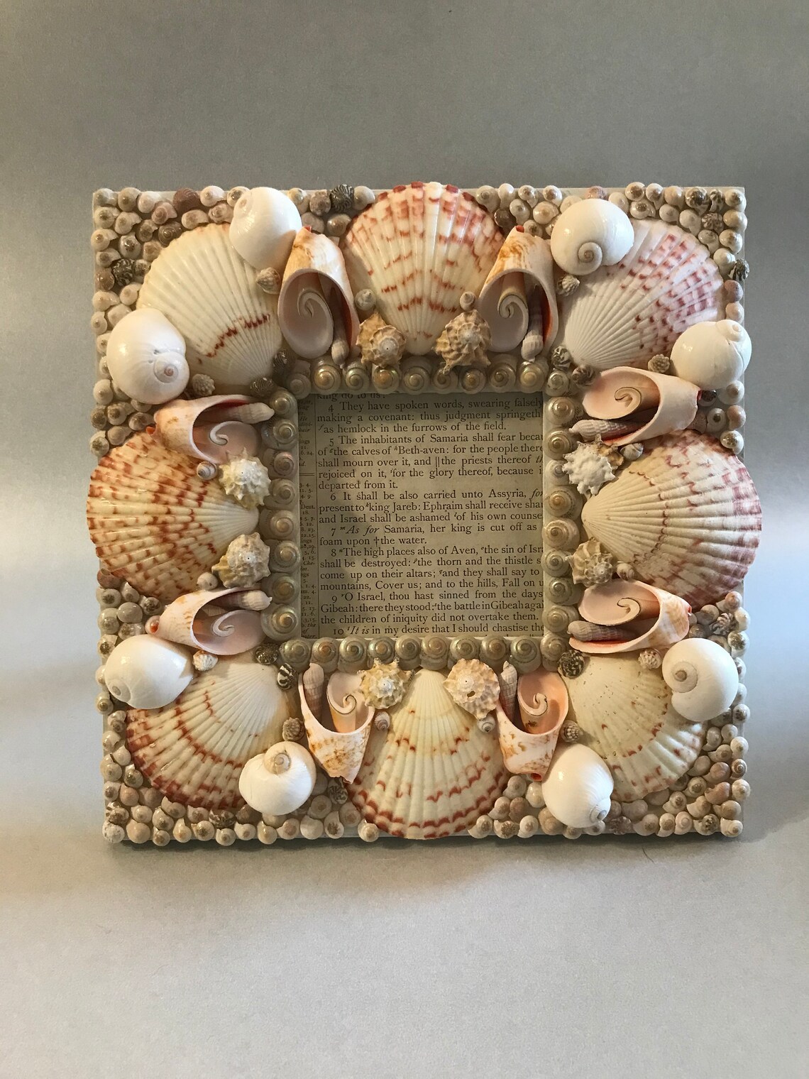 Handmade Shell Frame One of a Kind Seashell Frame | Etsy