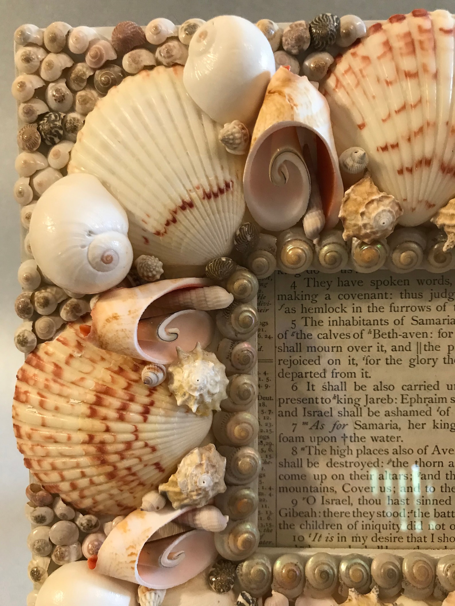 Handmade Shell Frame One of a Kind Seashell Frame | Etsy
