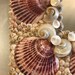 Handmade Shell Mirror Embellished Seashell Mirror Bydesignshellart - Etsy