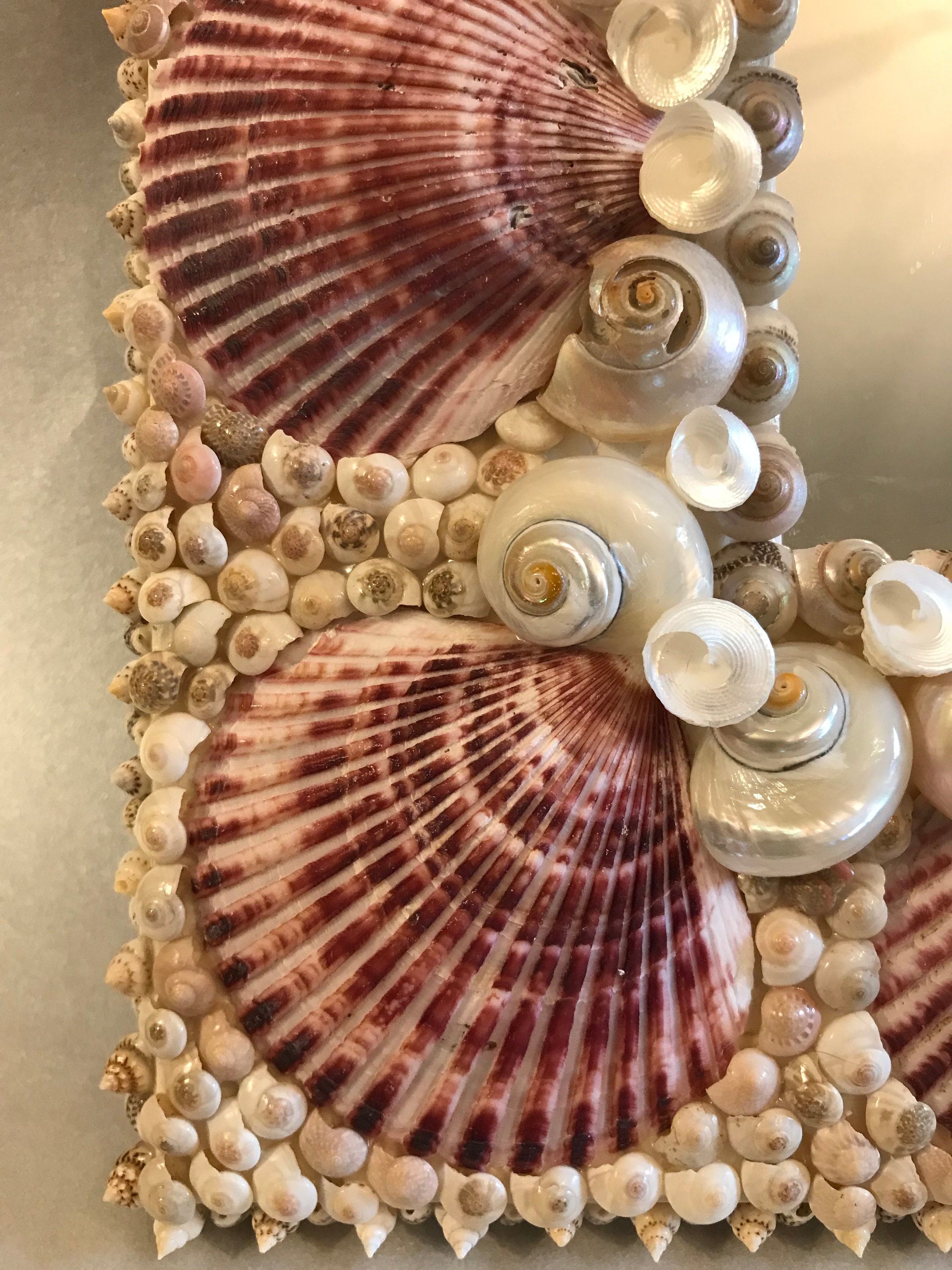 Handmade Shell Mirror Embellished Seashell Mirror Bydesignshellart - Etsy