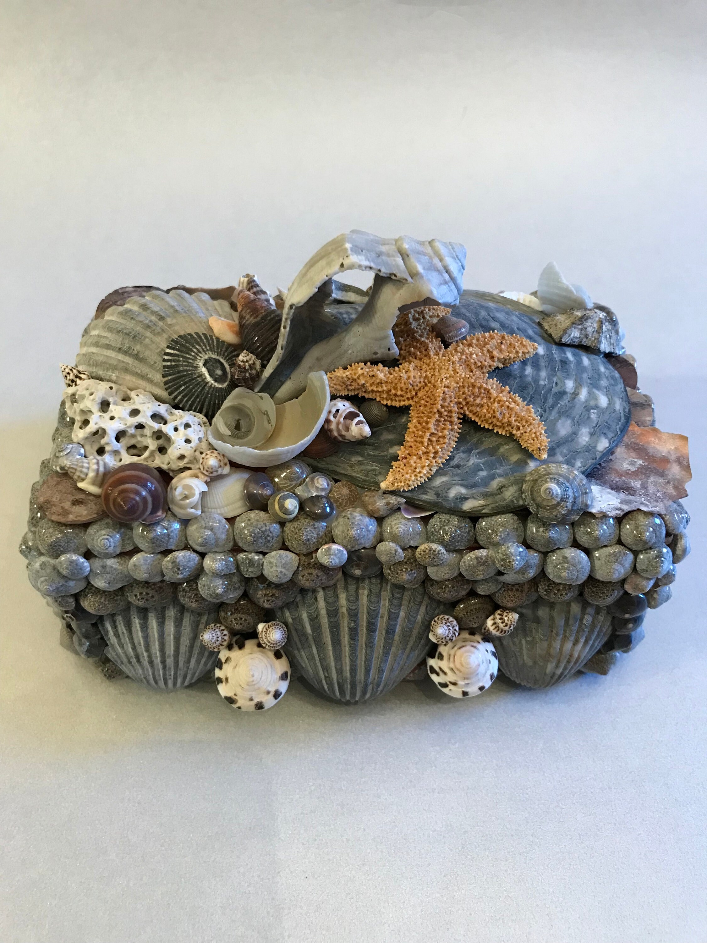 Handmade Shell Box Encrusted Seashell Box Ring Box - Etsy