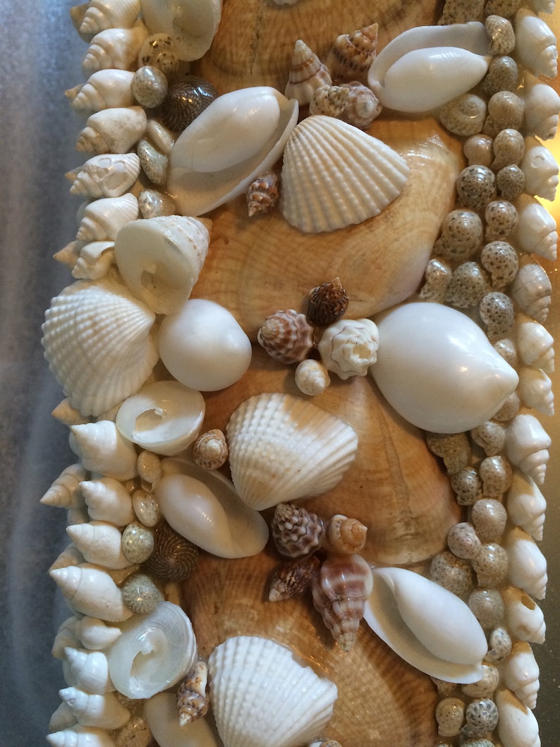 Large Shell Mirror Handmade Seashell Mirrors Custom Order - Etsy