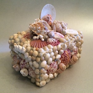 Handmade Seashell Box, Shell Treasure Box - Etsy