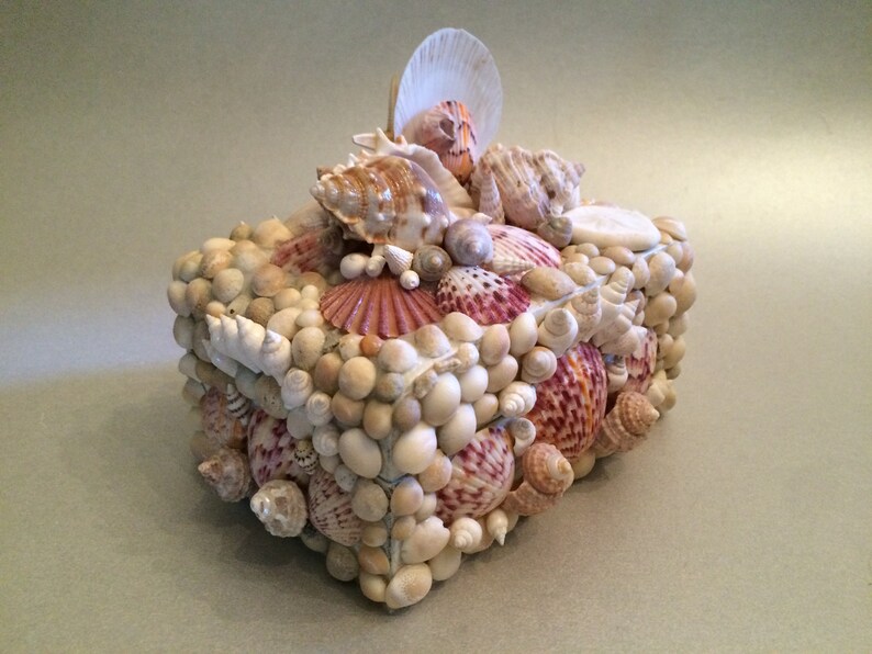 Handmade Seashell Box, Shell Treasure Box - Etsy