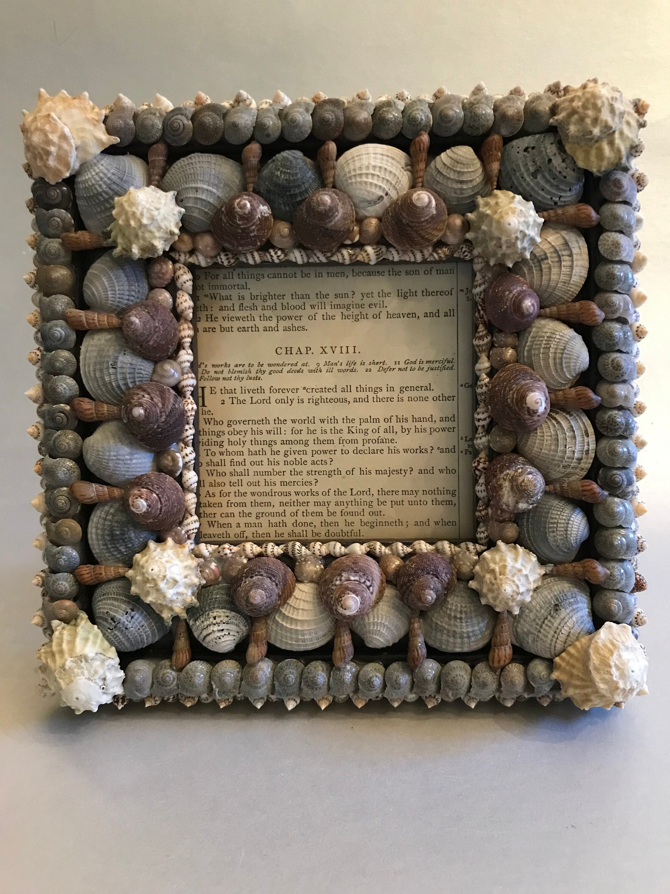 Handmade Shell Frame One of a Kind Seashell Frame - Etsy