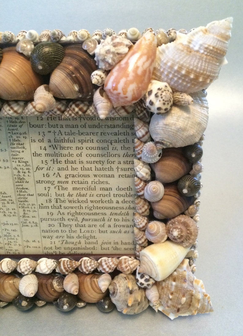Handmade Seashell Picture Frame Shell Frame Beach Decor - Etsy
