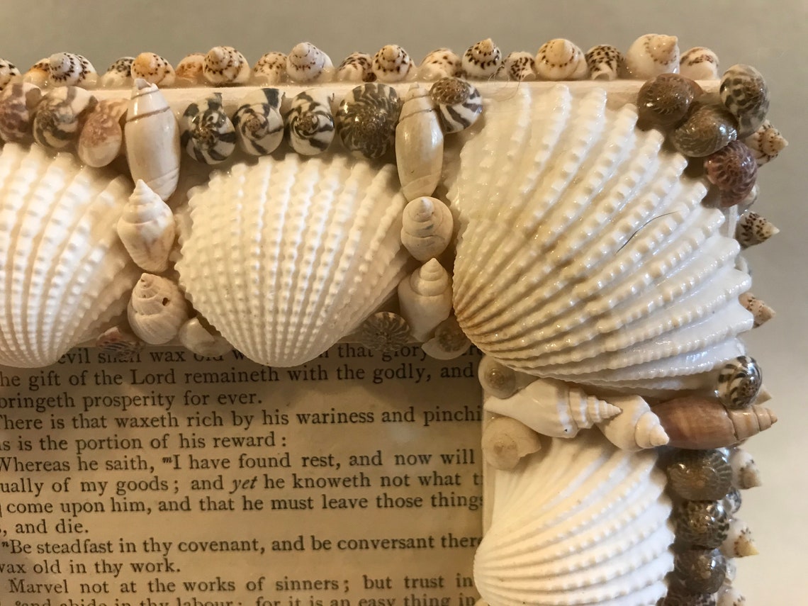Handmade Shell Frame One of a Kind Seashell Frame Coastal | Etsy