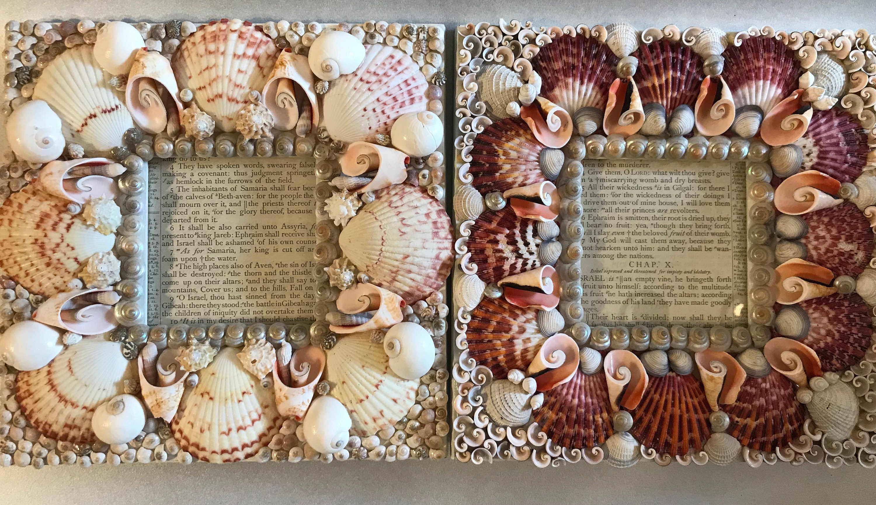 Handmade Shell Frame One of a Kind Seashell Frame | Etsy