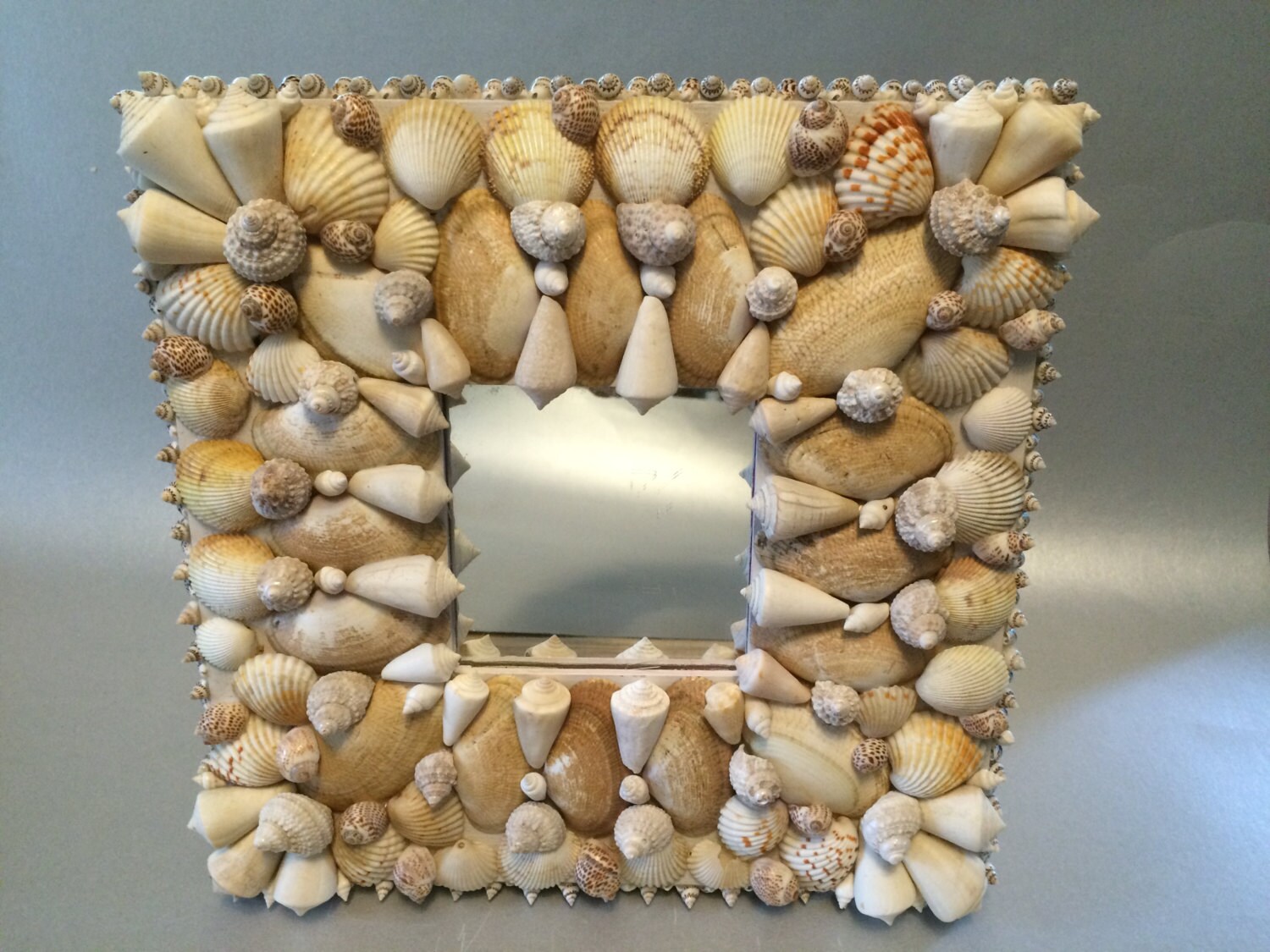 Shell Mirror Decorative Seashell Mirror Handmade Shell - Etsy