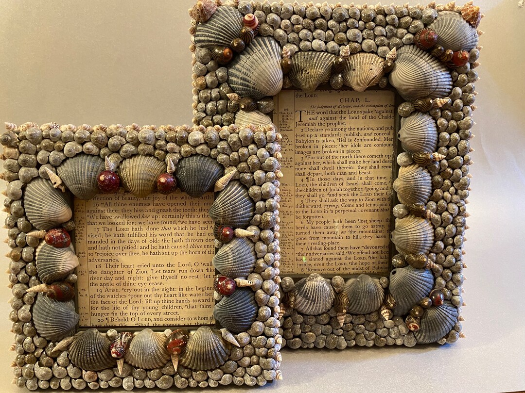Handmade Shell Frame, Seashell Picture Frame, Sea Shell Photo Frame - Etsy