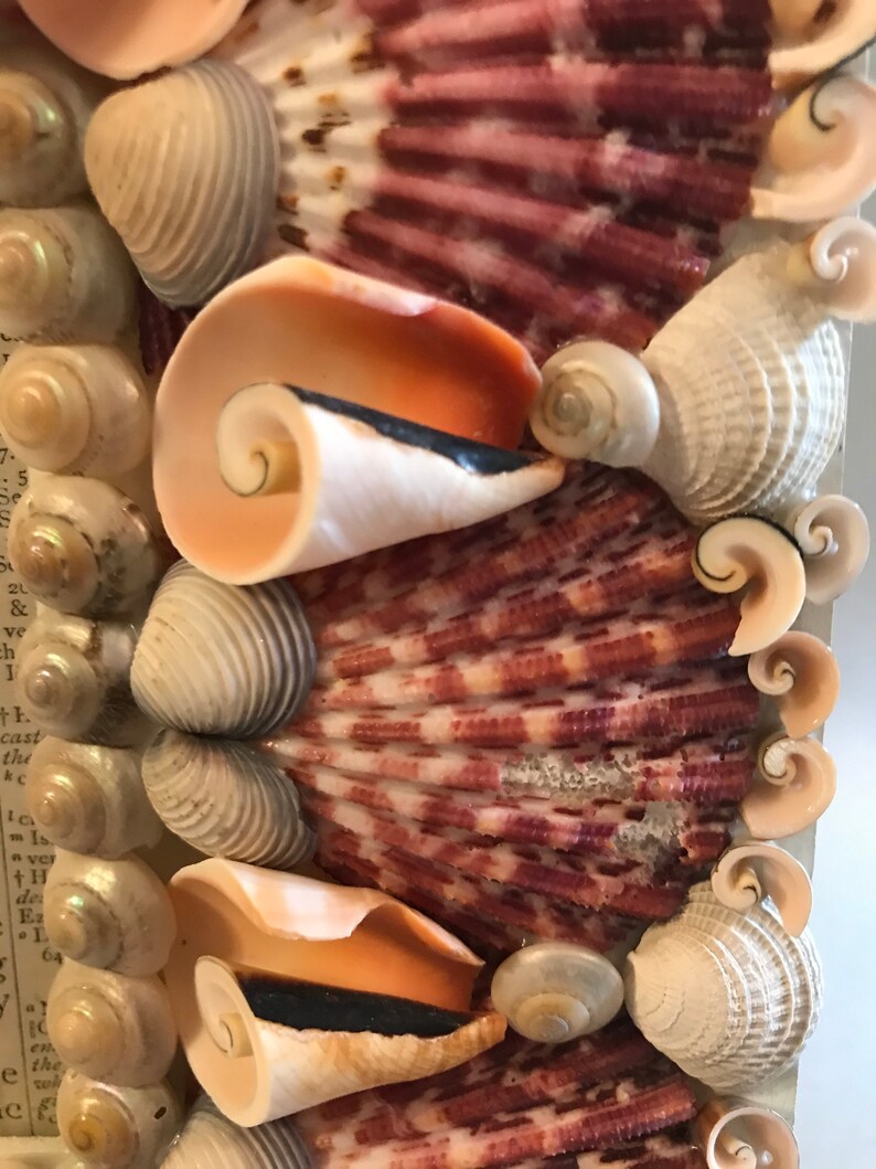 Handmade Shell Frame One of a Kind Seashell Frame Ornate | Etsy