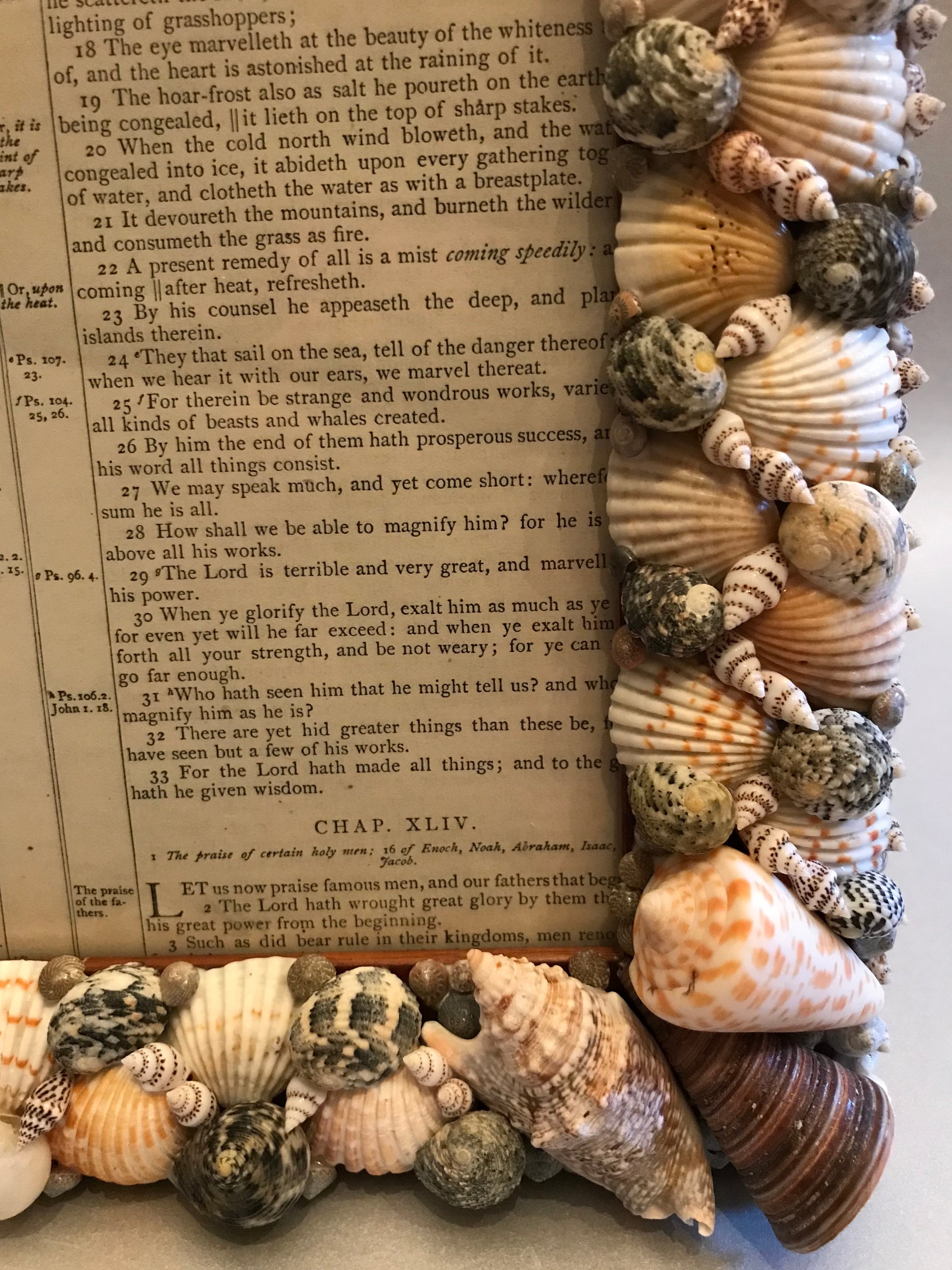 Handmade Shell Frame One of a Kind Seashell Frame Sea Shell - Etsy