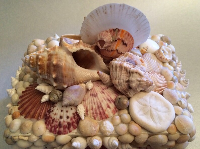Handmade Seashell Box Shell Treasure Box - Etsy