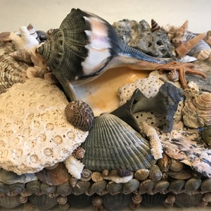 Handmade Shell Box, One of a Kind Seashell Box, Ornate Sea Shell Box - Etsy
