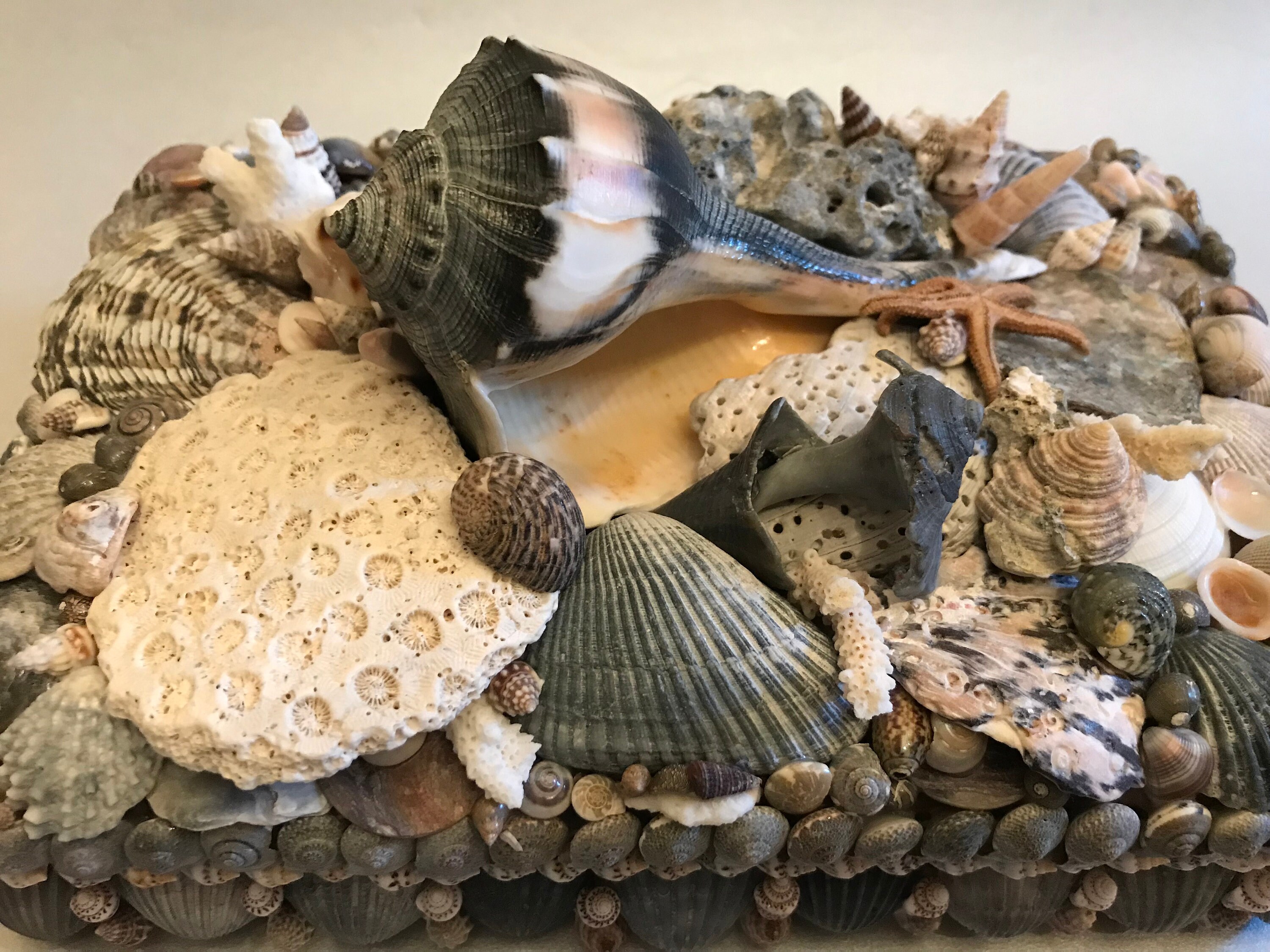 Handmade Shell Box, One of a Kind Seashell Box, Ornate Sea Shell Box - Etsy