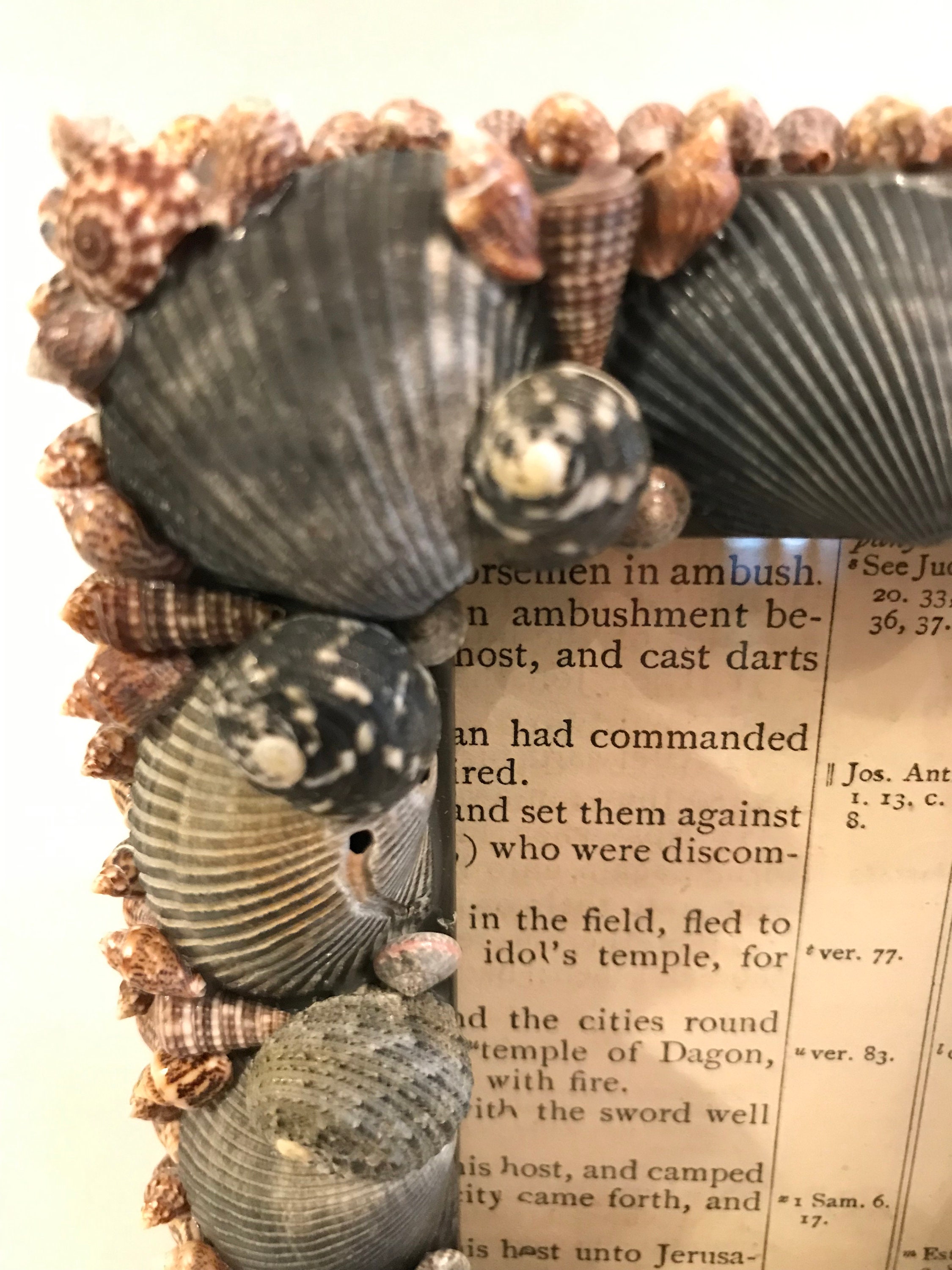 Handmade Shell Frame Seashell Picture Frame Sea Shell Photo - Etsy