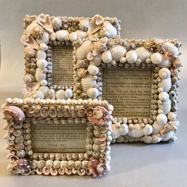 White Seashell Frame - Etsy