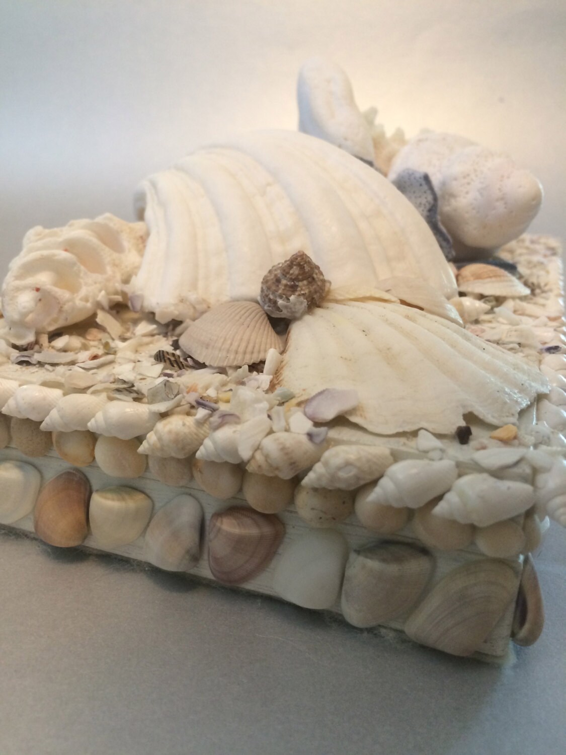 Handmade Shell Box Ornate Encrusted Seashell Box | Etsy
