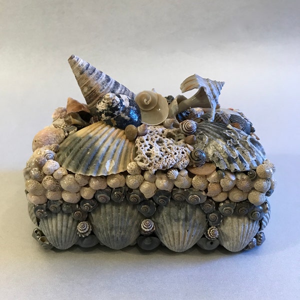 Shell Box - Etsy