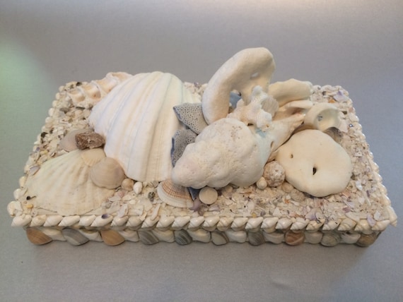 Handmade Shell Box Ornate Encrusted Seashell Box - Etsy