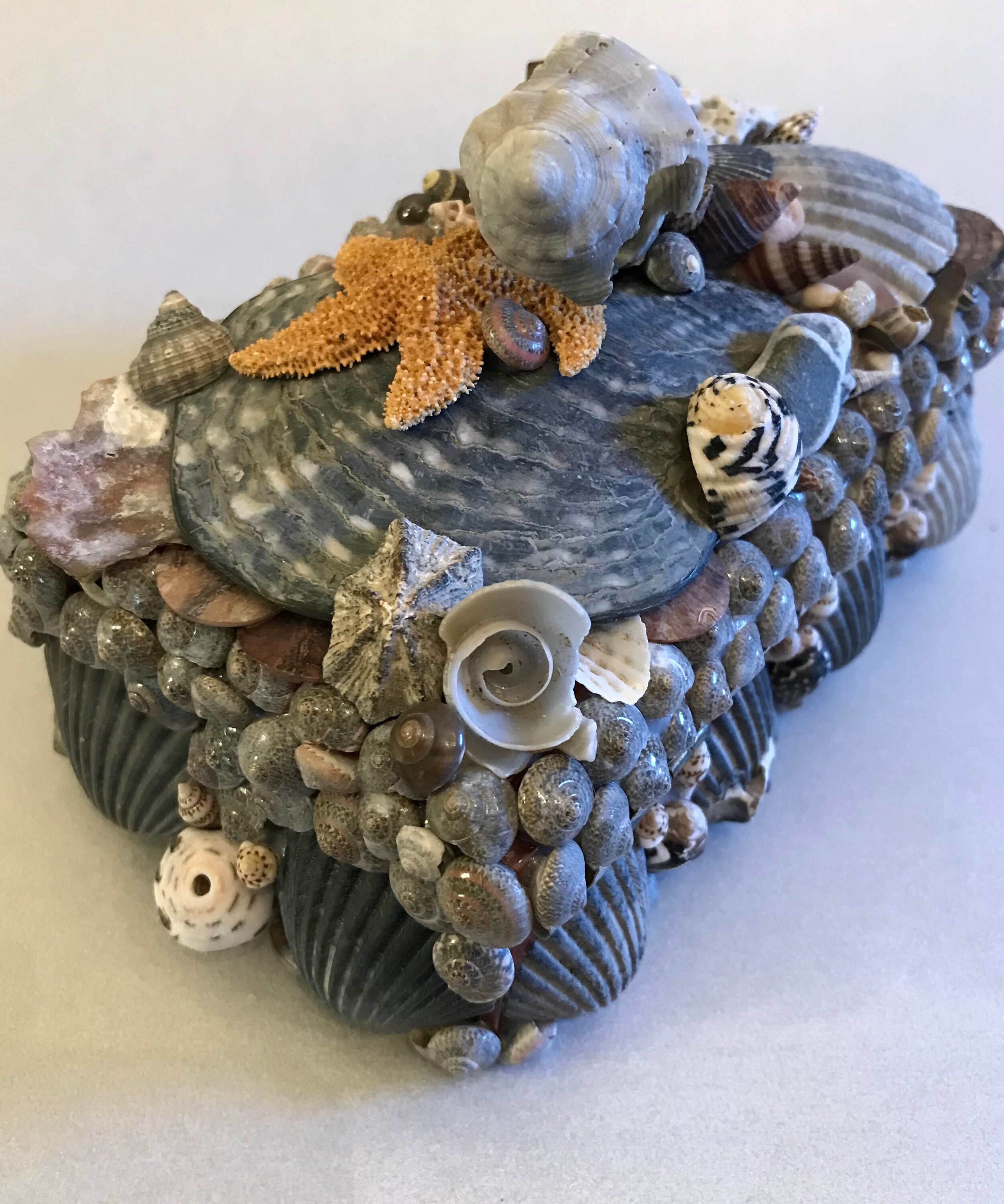 Handmade Shell Box Encrusted Seashell Box Ring Box - Etsy