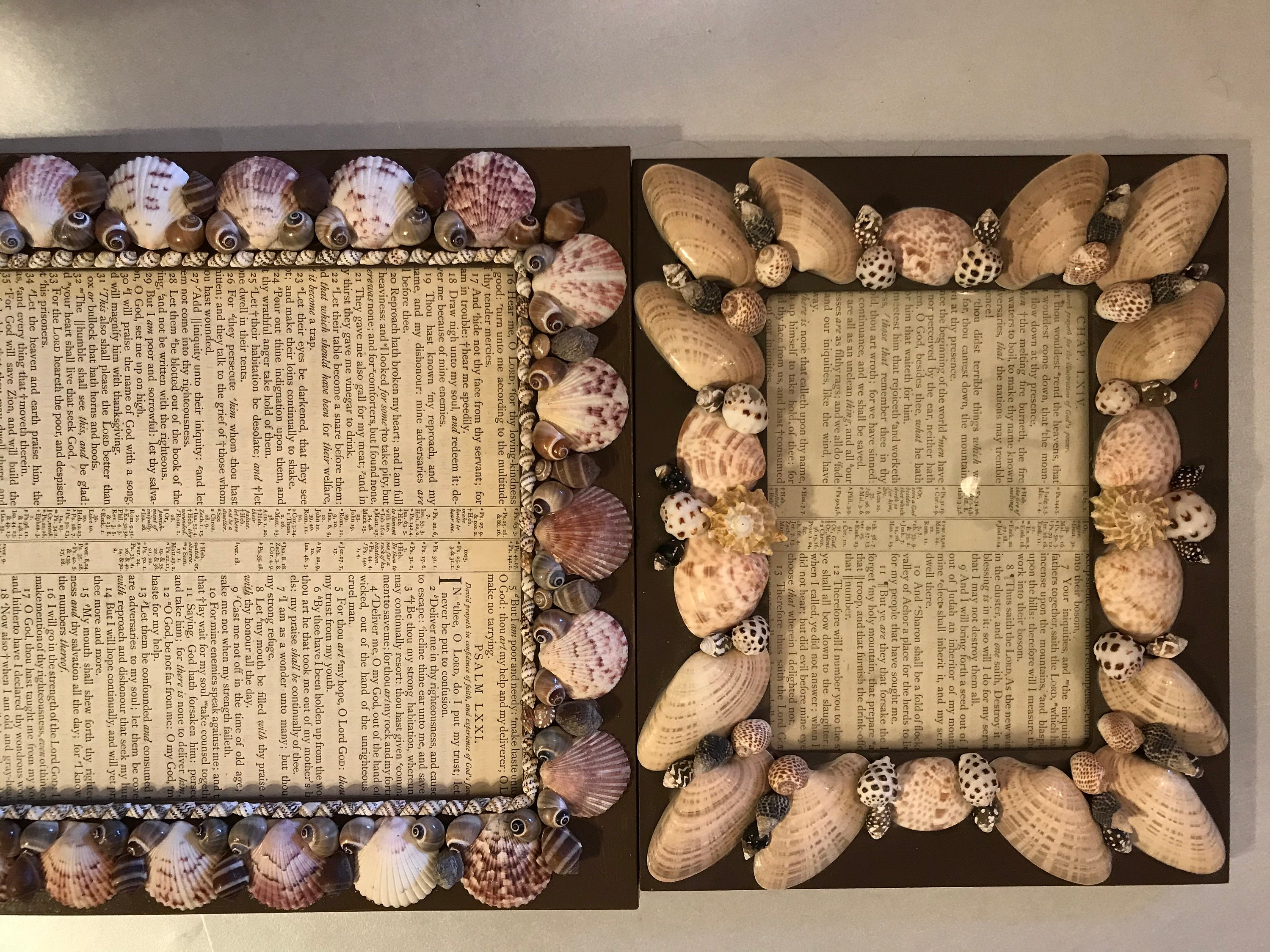 Handmade Shell Frame One of a Kind Seashell Frame Unique Art - Etsy