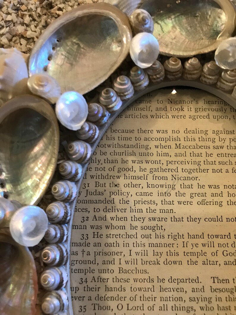 Handmade Seashell Picture Frame With Hand Picked Shells - Etsy