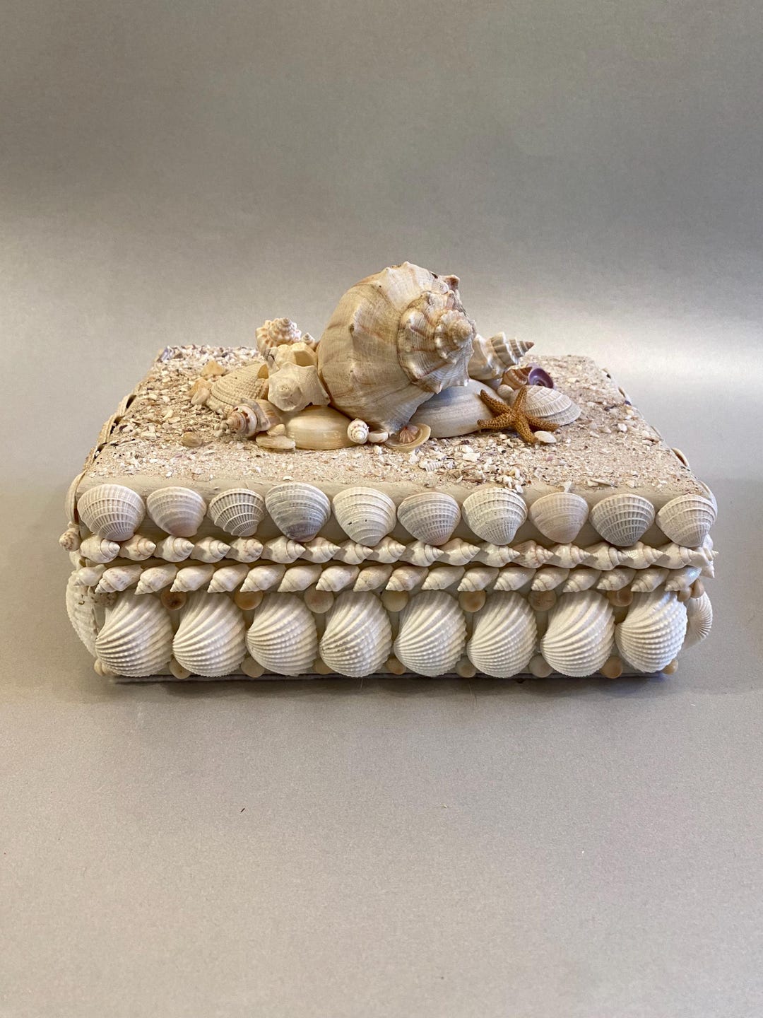 Embellished Shell Box, One of a Kind Seashell Box, Handmade Ivory Shell ...