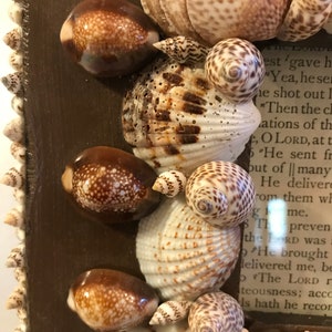 Shell Frame, Handmade Seashell Picture Frame, One of a Kind Seashell ...